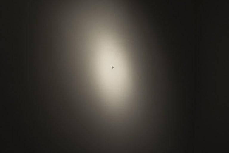 SPG Club - Sculpture Placement Group