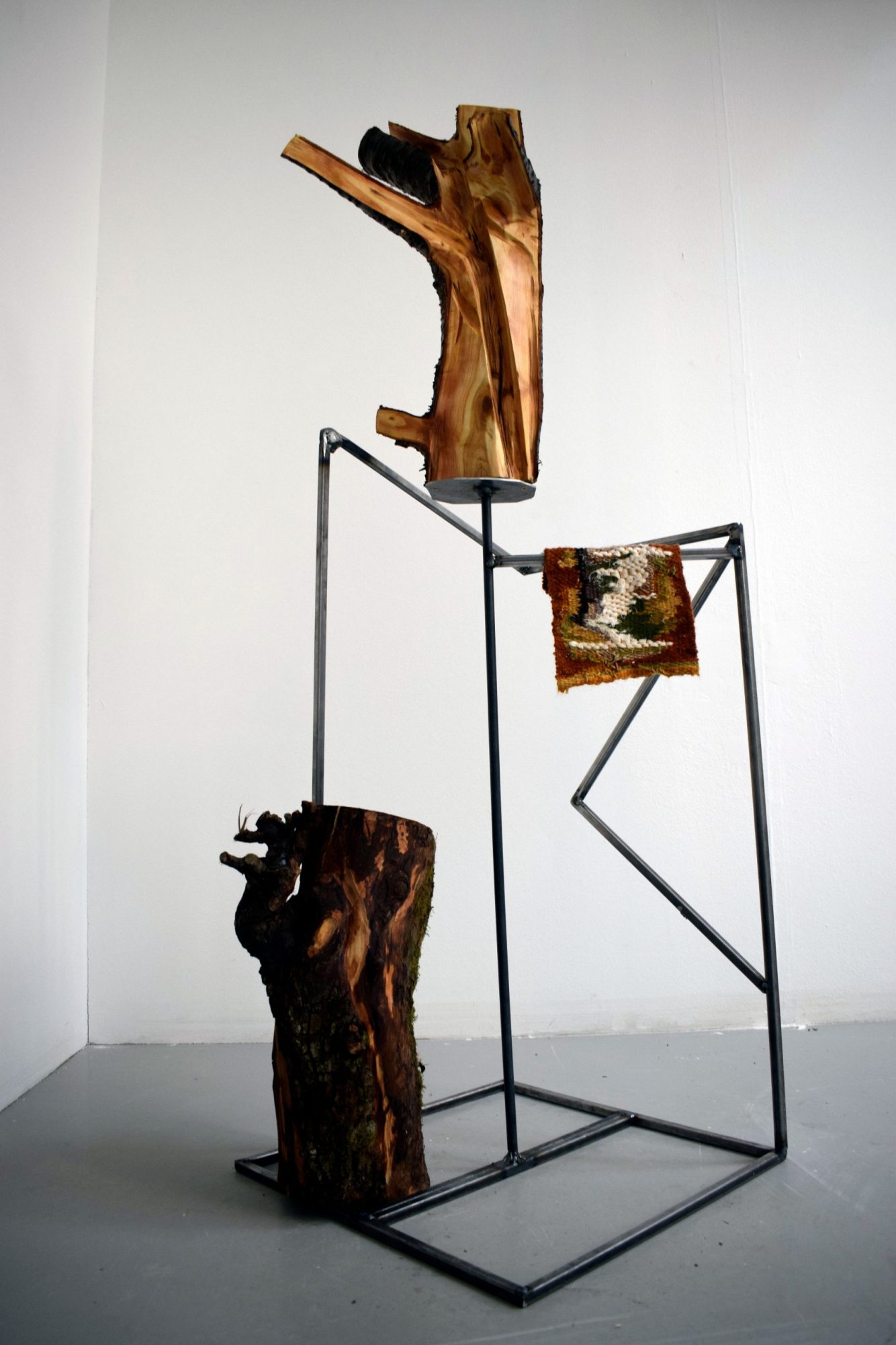 PRUNUS AVIUM - Sculpture Placement Group